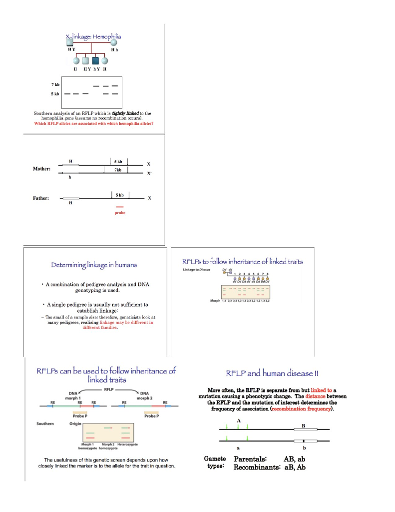Solved The following pedigree is that of a man affected with | Chegg.com