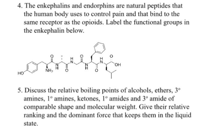 Solved The enkephalins and endorphins are natural peptides | Chegg.com