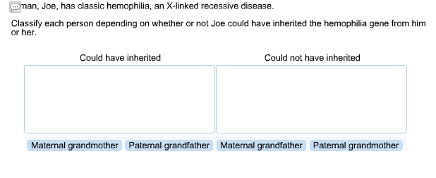 Solved nan, Joe, has classic hemophilia, an X-linked | Chegg.com