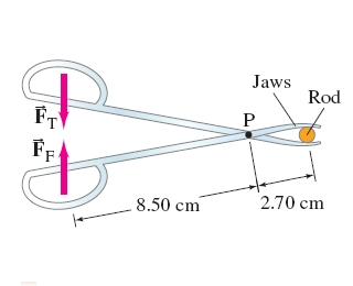 Solved The figure below shows a pair of forceps used to hold | Chegg.com