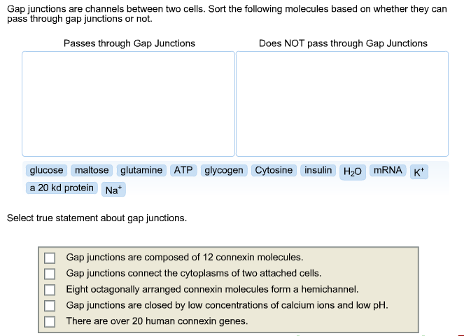 Solved Gap junctions are channels between two cells. Sort | Chegg.com