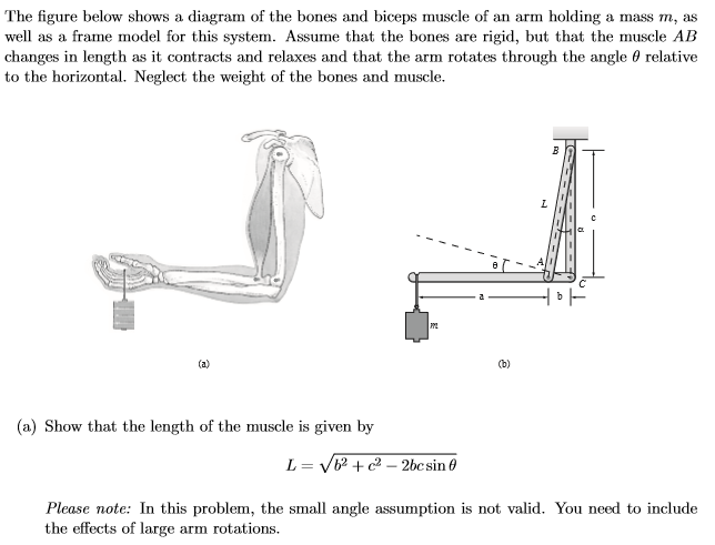 Solved n o well as a frame model for this system. Assume | Chegg.com
