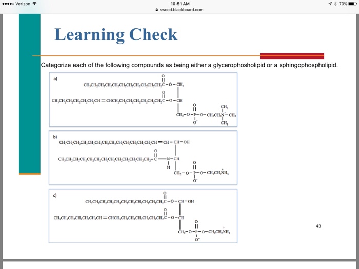 Solved Categorize each of the following compounds as being | Chegg.com