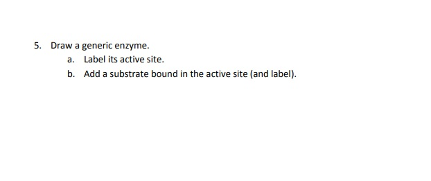Solved 5. Draw a generic enzyme. a. Label its active site. | Chegg.com