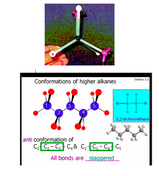 Solved Section 3.3 Conformations of higher alkanes | Chegg.com