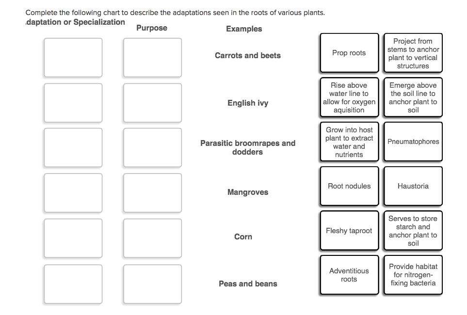Solved Complete the following chart to describe the | Chegg.com