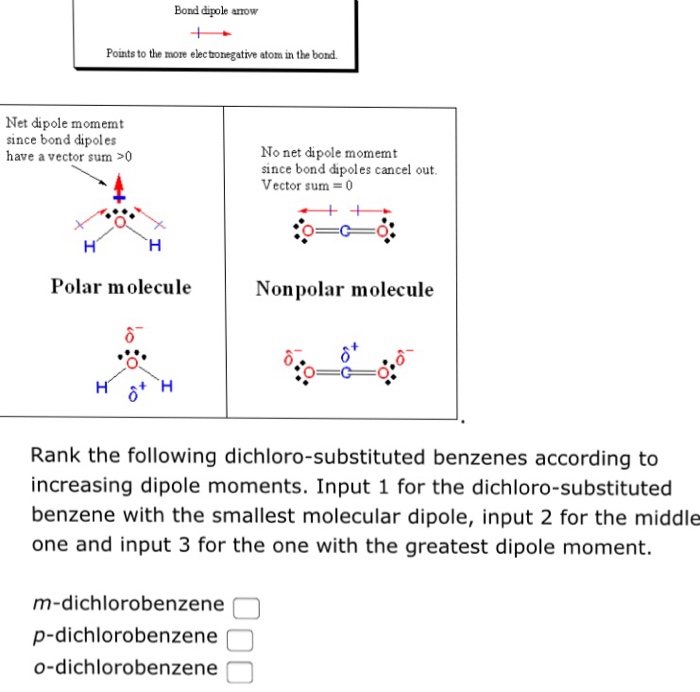 1. Draw the skeletal structure of | Chegg.com