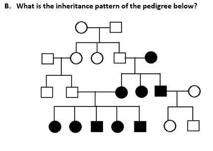 Solved B. What is the inheritance pattern of the pedigree | Chegg.com