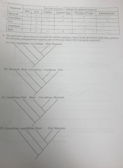 Solved Derived Characters ( indicates the character is | Chegg.com