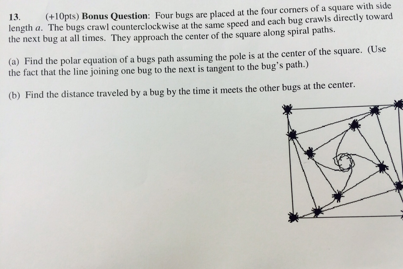 Solved Bonus Question: Four bugs are placed at the four | Chegg.com