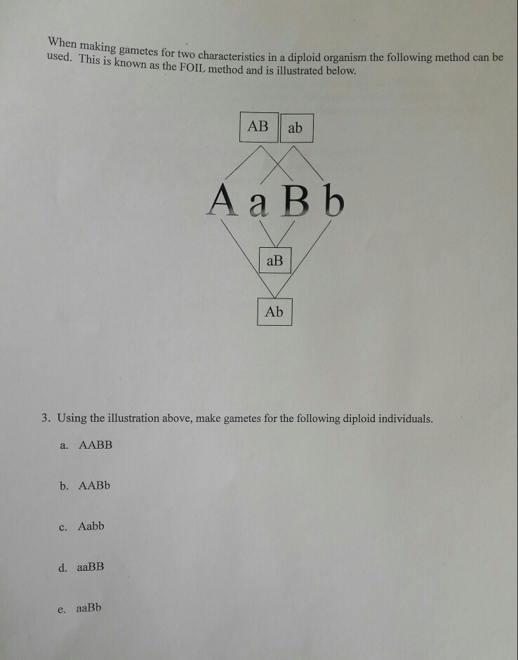 Solved Recitation- Observable Patterns of Inheritance 1. In | Chegg.com