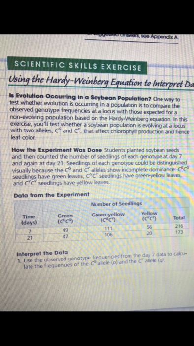 Solved SCIENTIFIC SKILLS EXERCISE Using the Hardy-Weinberg | Chegg.com