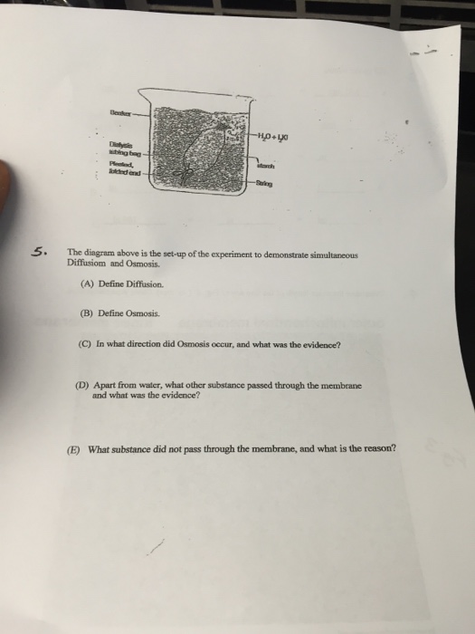 Solved The diagram above is the set-up of the experiment | Chegg.com