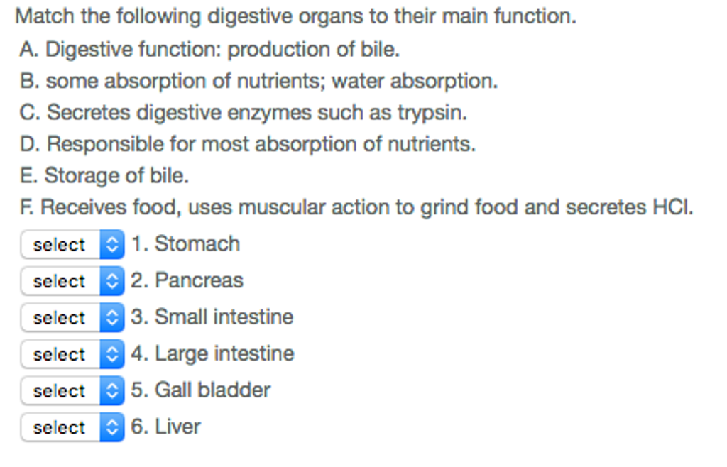 Solved Match the following digestive organs to their main | Chegg.com