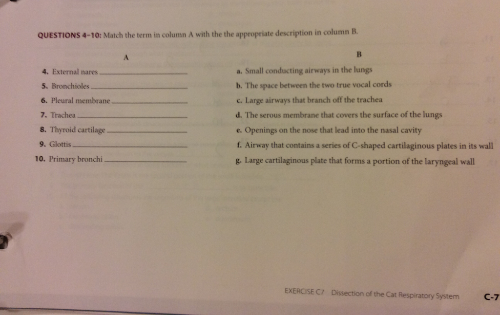 Solved QUESTIONS 4-10: Match the term in column A with the | Chegg.com