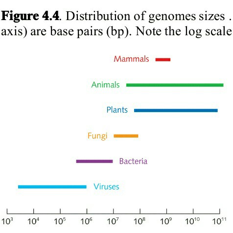 Solved 1. what is the range of genome sizes for mammals? 2. | Chegg.com