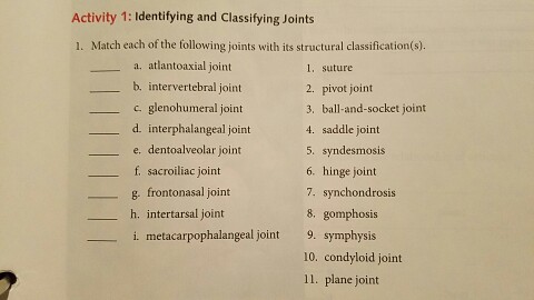 Solved Activity 1: Identifying and Classifying Joints 1. | Chegg.com