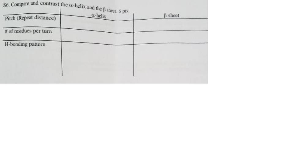 Solved and contrastthe α-helix and the β sheet, 6 pts. | Chegg.com