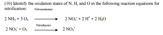 Solved Identify the oxidation states of N, H, and O in the | Chegg.com