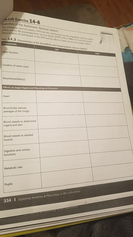 Solved e-Lab Exercise 14-6 anches of the Autonomic Nervous | Chegg.com