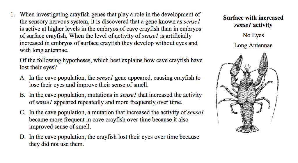 Solved 1. When investigating crayfish genes that play a role | Chegg.com