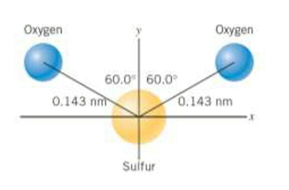 Solved The drawing shows a molecule of sulfur dioxide. It | Chegg.com