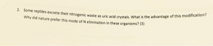 Solved Some reptiles excrete their nitrogenic waste as uric | Chegg.com