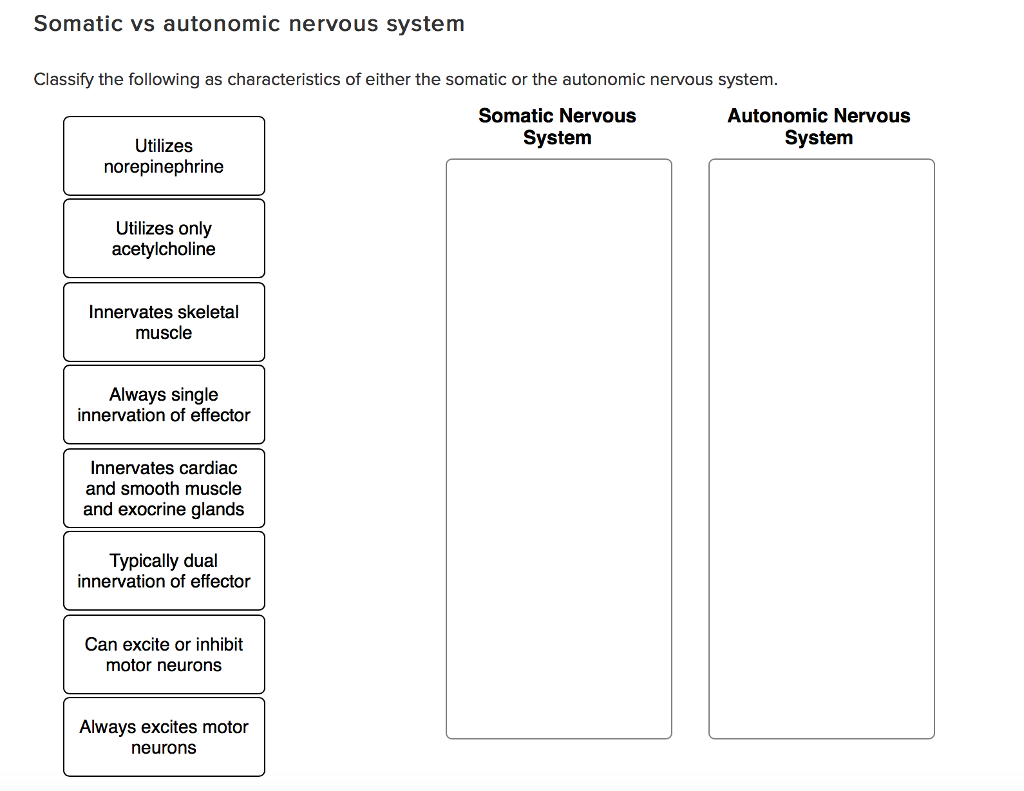 Solved Classify the following as characteristics of either | Chegg.com