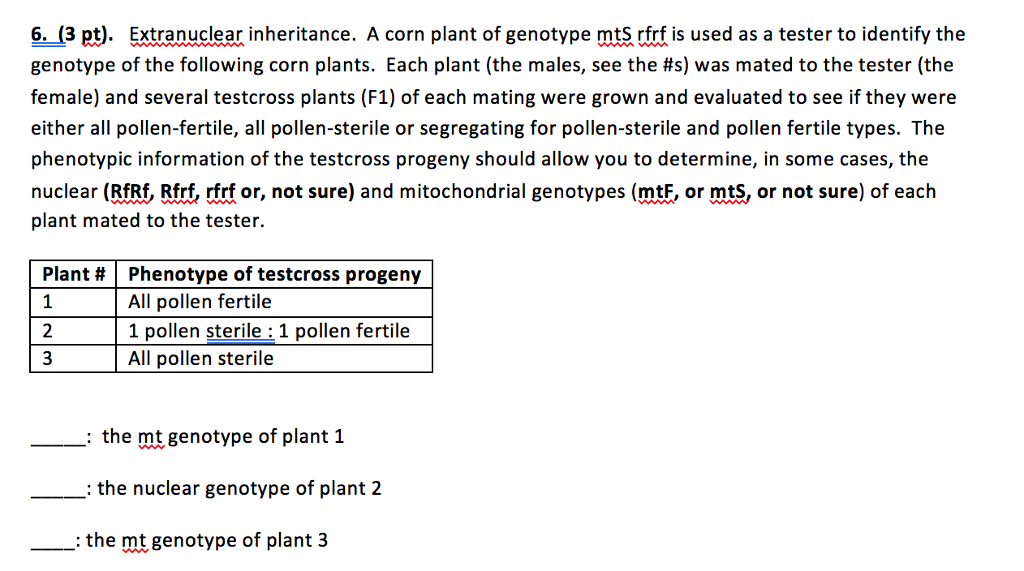 Solved 6. (3 pt). Extranuclear inheritance. A corn plant of | Chegg.com