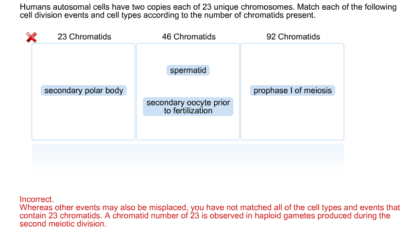 Solved Humans autosomal cells have two copies each of 23 | Chegg.com