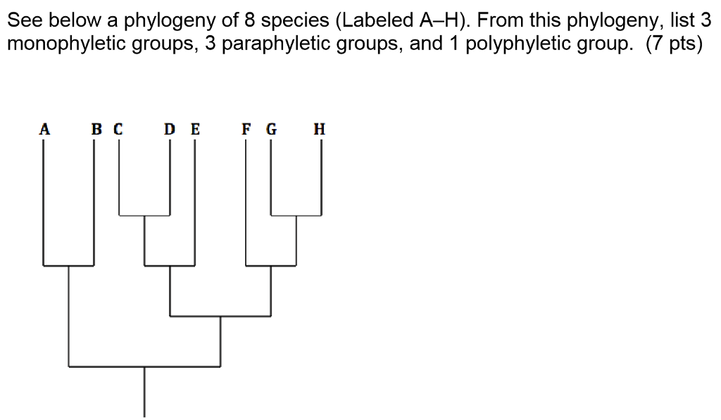 Solved See below a phylogeny of 8 species (Labeled A-H). | Chegg.com