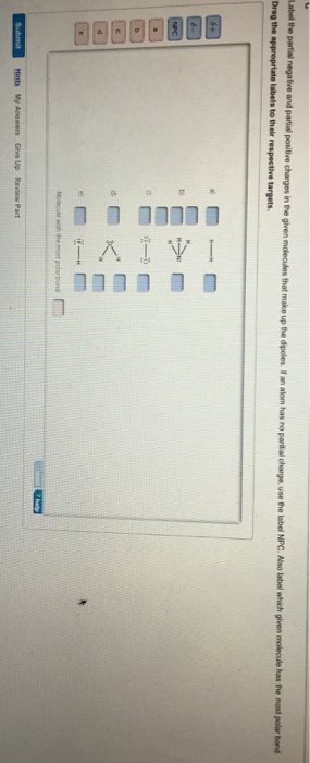 Solved Label the partial negative and partial positive | Chegg.com