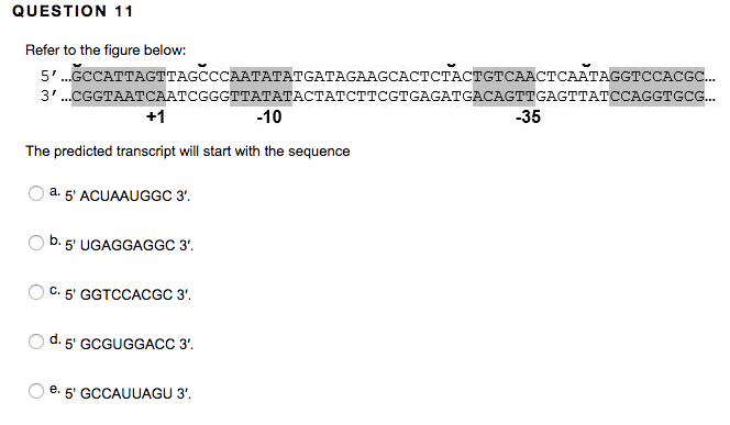 Solved Refer to the figure below: The predicted transcript | Chegg.com Solved Refer to the figure below: The predicted transcript | Chegg.com
