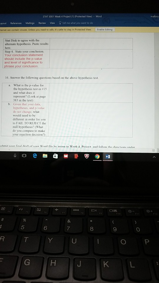 STAT 3001 Week 4 Project (1) (Protected View) Word | Chegg.com