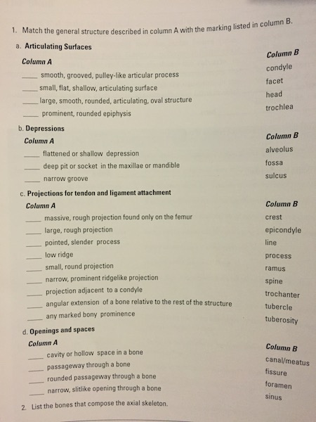 Solved Match the general structure described in column A | Chegg.com