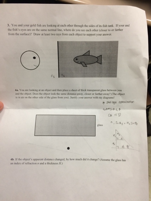 Solved 3. You and your gold fish are looking at each other | Chegg.com