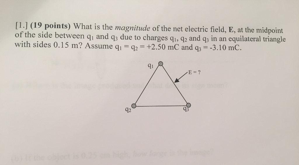Solved What is the magnitude of the net electric field, E, | Chegg.com