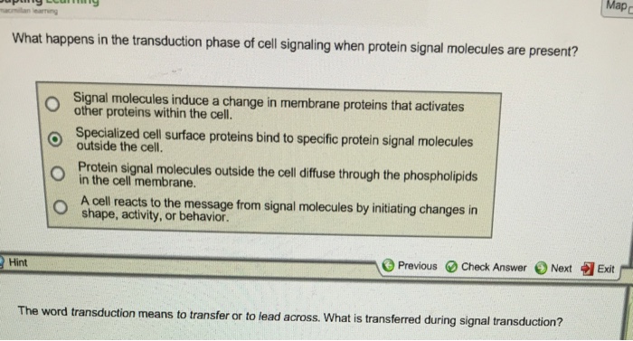 Solved What happens in the transduction phase of cell | Chegg.com