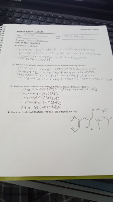 Solved Report Sheet- Lab 20 Pre-Lab Study Questions bf one , | Chegg.com