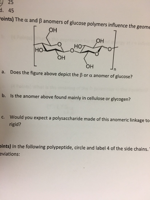 Solved The alpha and beta anomers of glucose polymers | Chegg.com