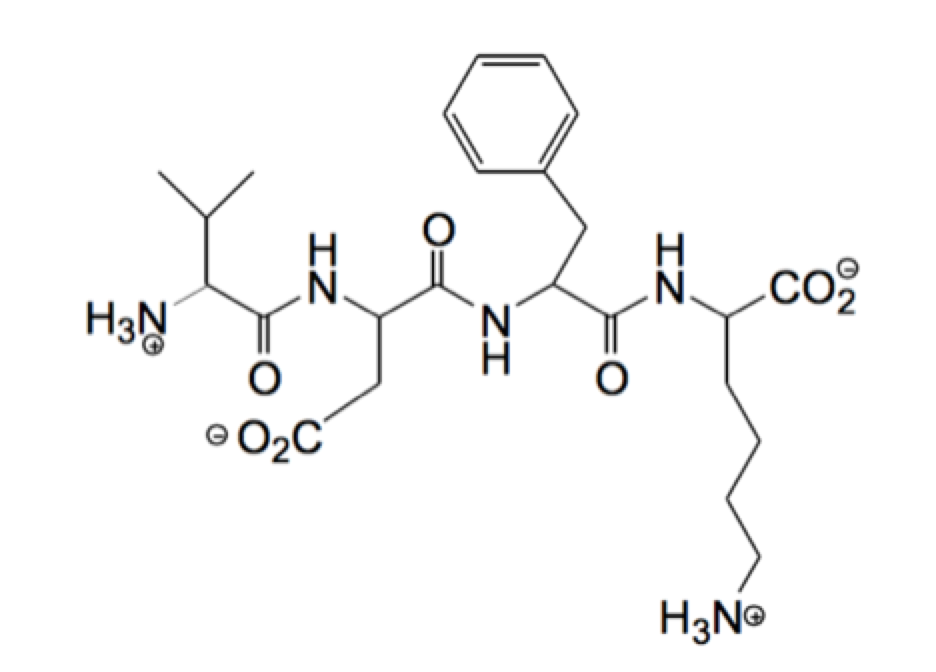 Aspartate Structure At Ph 7