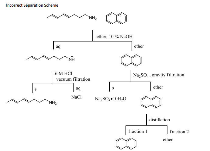 Solved PLEASE NO HANDWRITTEN. USE CHEM SKETCH OR OTHER | Chegg.com