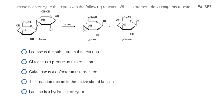 Solved Lactase is an enzyme that catalyze the following | Chegg.com