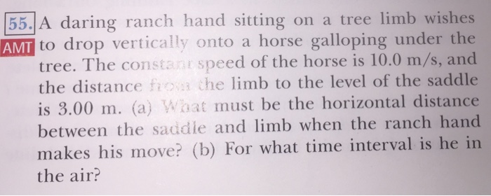 Solved A daring ranch hand sitting on a tree limb wishes to | Chegg.com