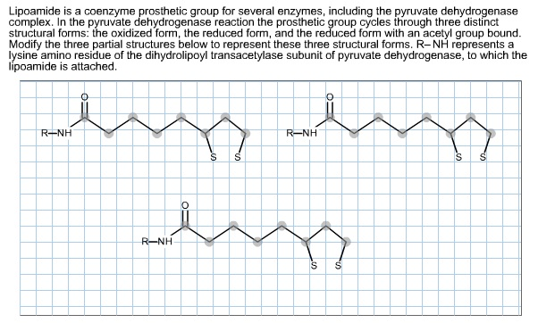 Solved Lipoamide is a coenzyme prosthetic group for several | Chegg.com