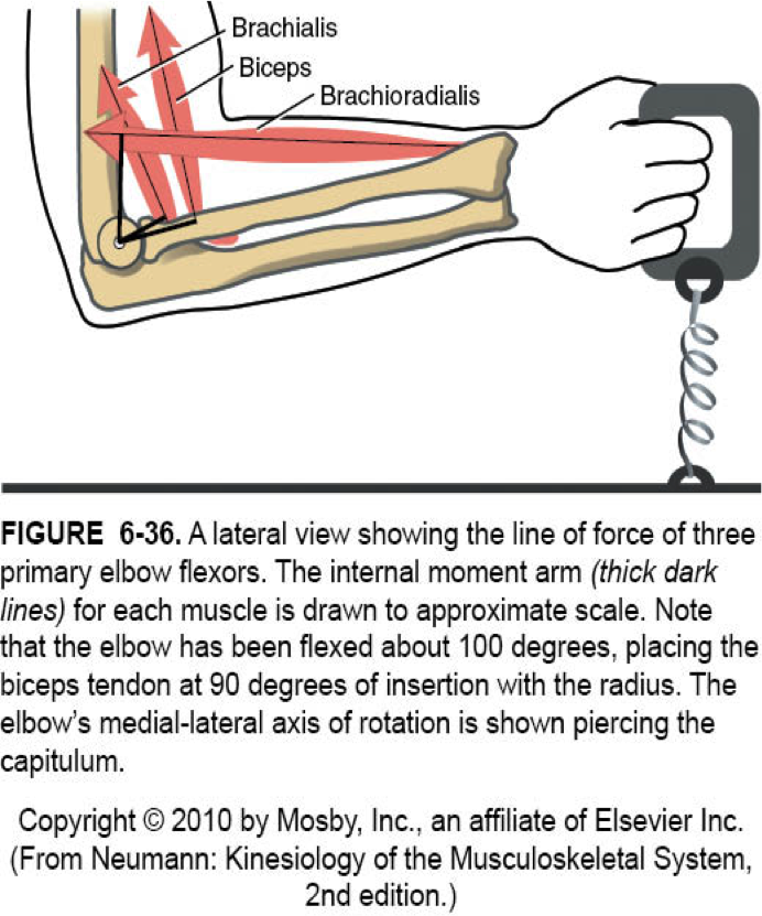 Solved Calculate internal force for each elbow | Chegg.com