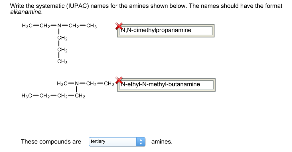 Solved Write the systematic (IUPAC) names for the amines | Chegg.com