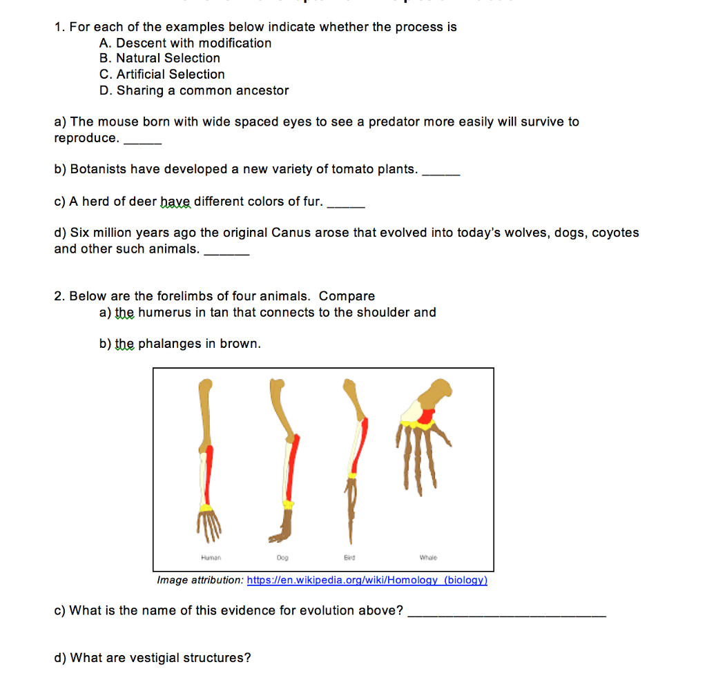 Descent With Modification - Descent With Modification Definition Theory Video Lesson Transcript ...
