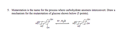 Solved Mutarotation is the name for the process where | Chegg.com