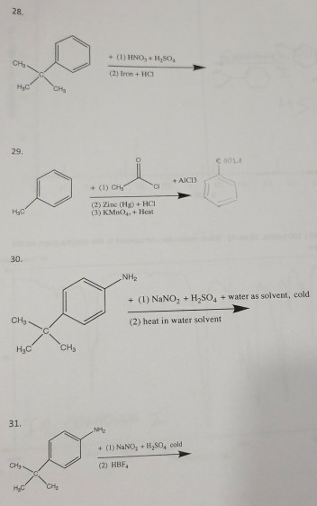 Solved 21. + H2SO4 + 2 CH3 CH3 22. Bro and FeBr CH3 CH3 23 | Chegg.com